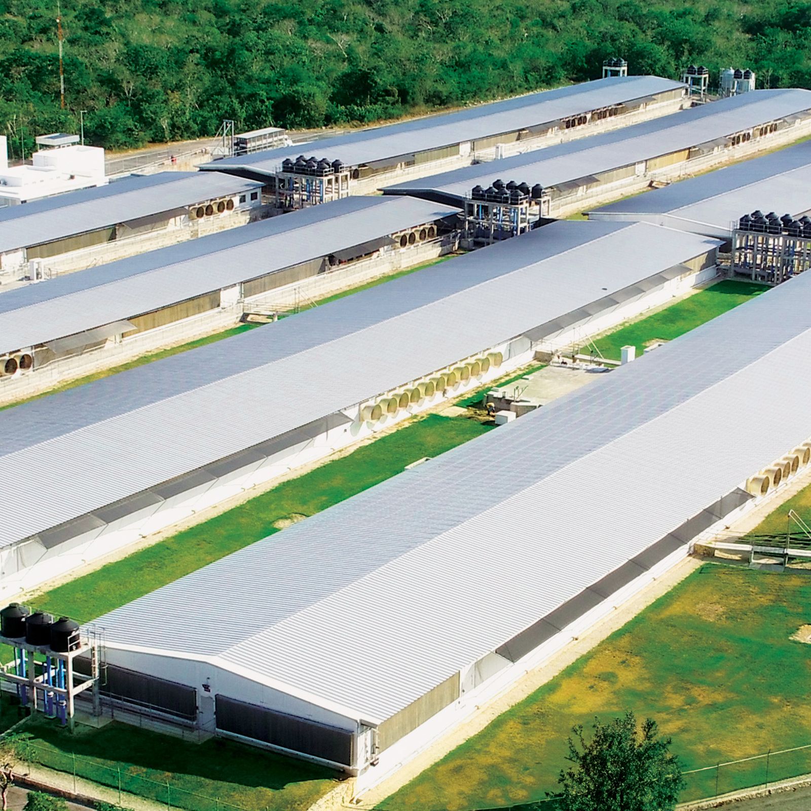 Kuo - Informe Anual 2023